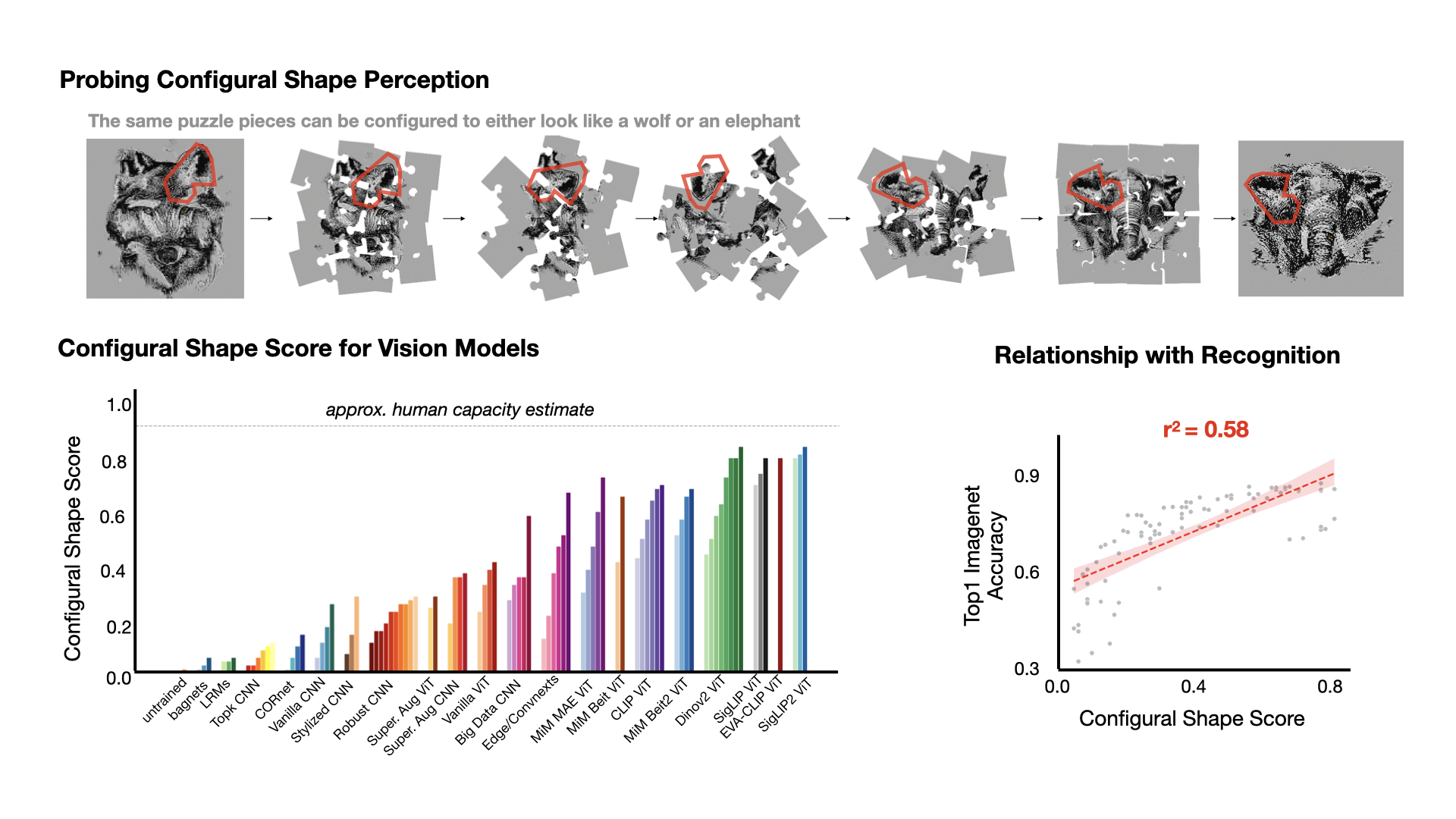 Visual Anagrams Reveal Hidden Differences in Holistic Shape Processing Across Vision Models